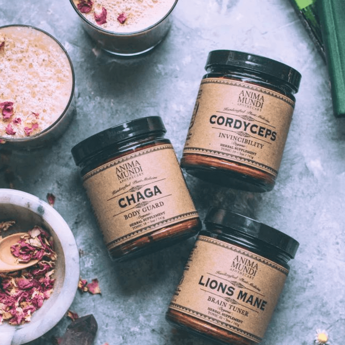 Anima Mundi: Exploring the Power of Adaptogens - Anima Mundi – Perfect ...