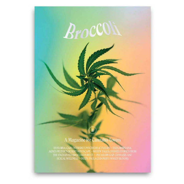 Cannabis Hero Highlights: The Team at Broccoli Magazine – Perfect Plant ...