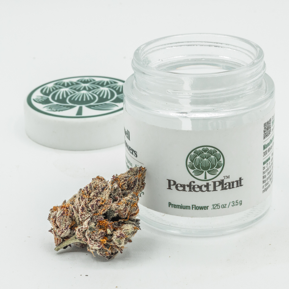 Buy Crunch Berries THCa Flower Online by Perfect Plant – Perfect Plant ...