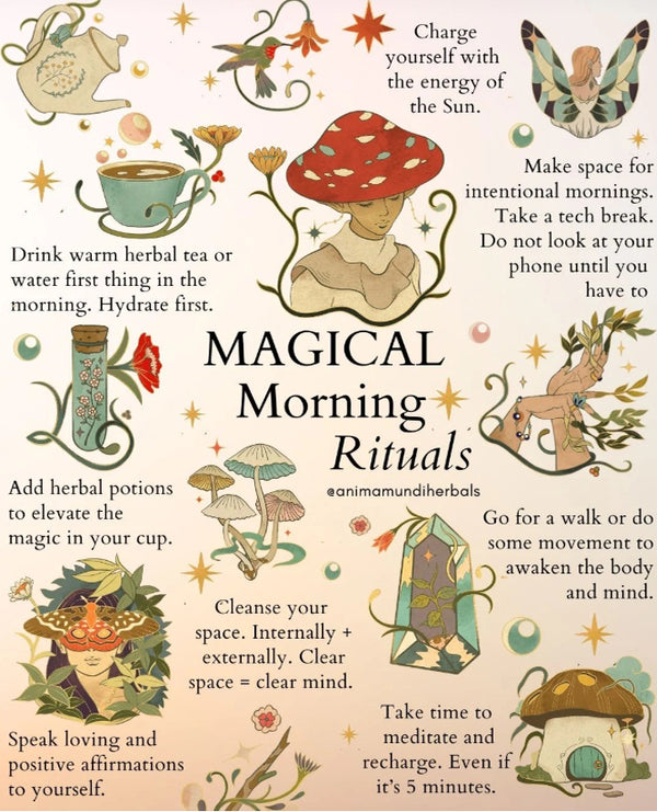 Magical Morning Rituals Poster – Perfect Plant Market